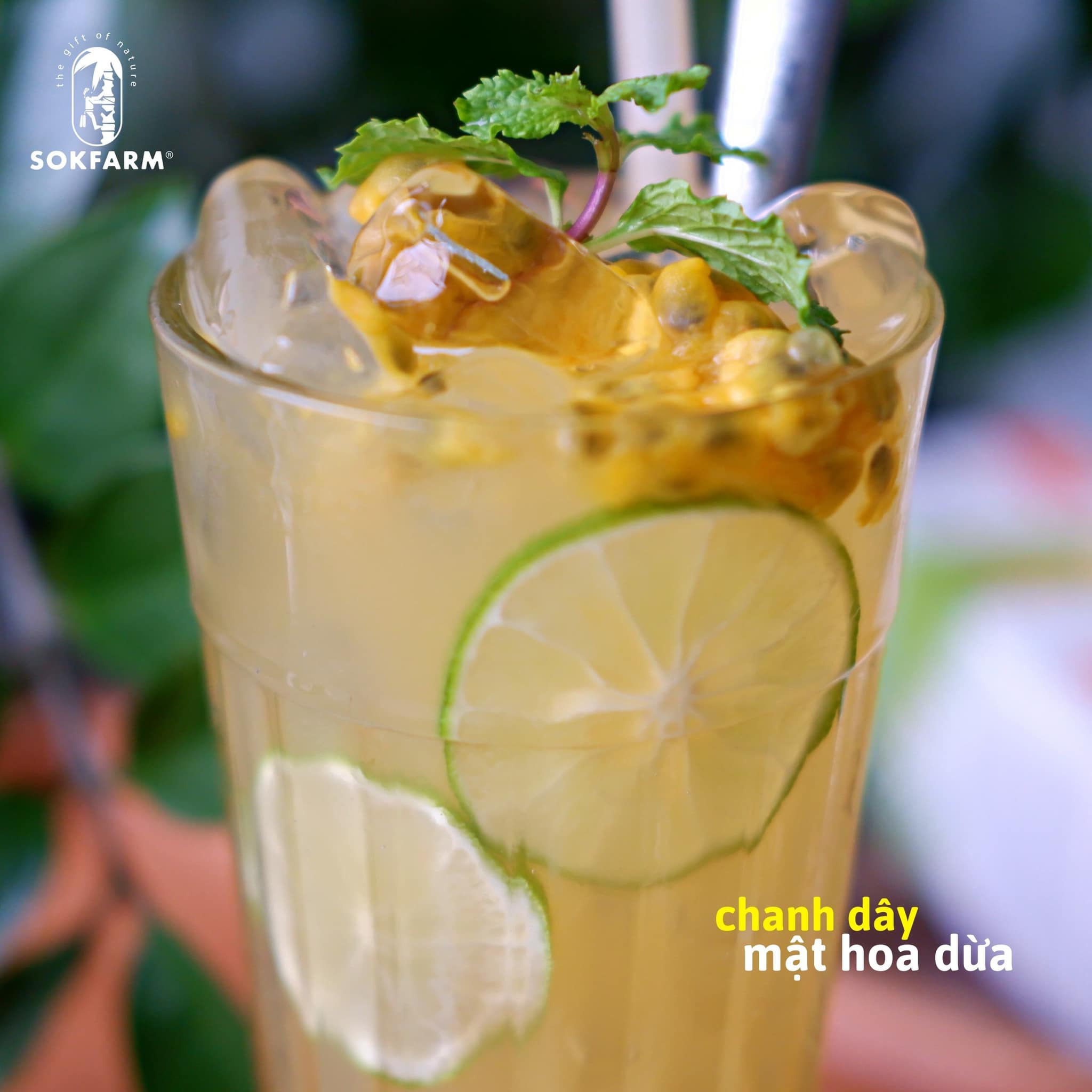 SOKFARM - Công thức pha chanh dây mật hoa dừa cô đặc cho mùa hè